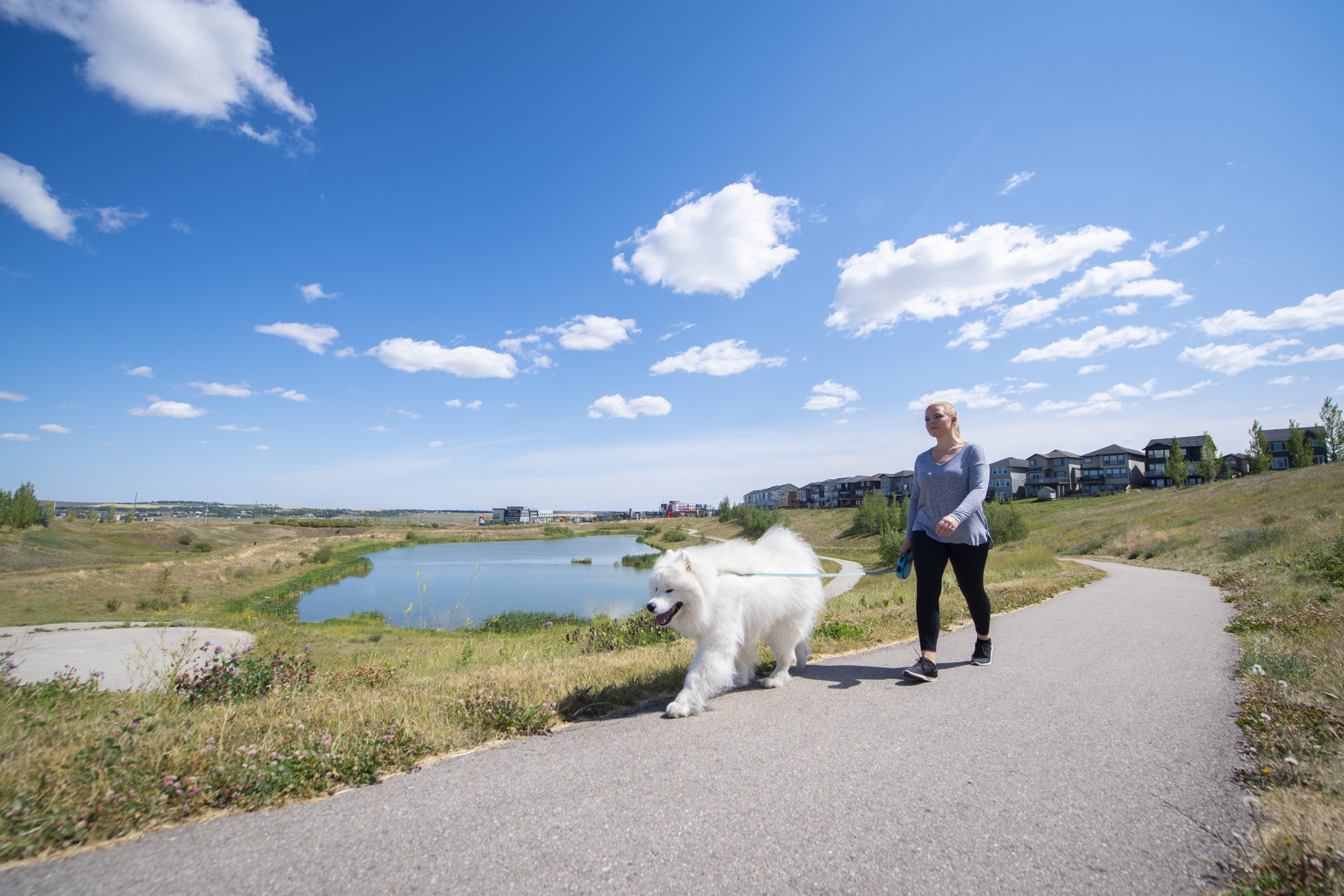 Community Map and Lot Find | Glacier Ridge